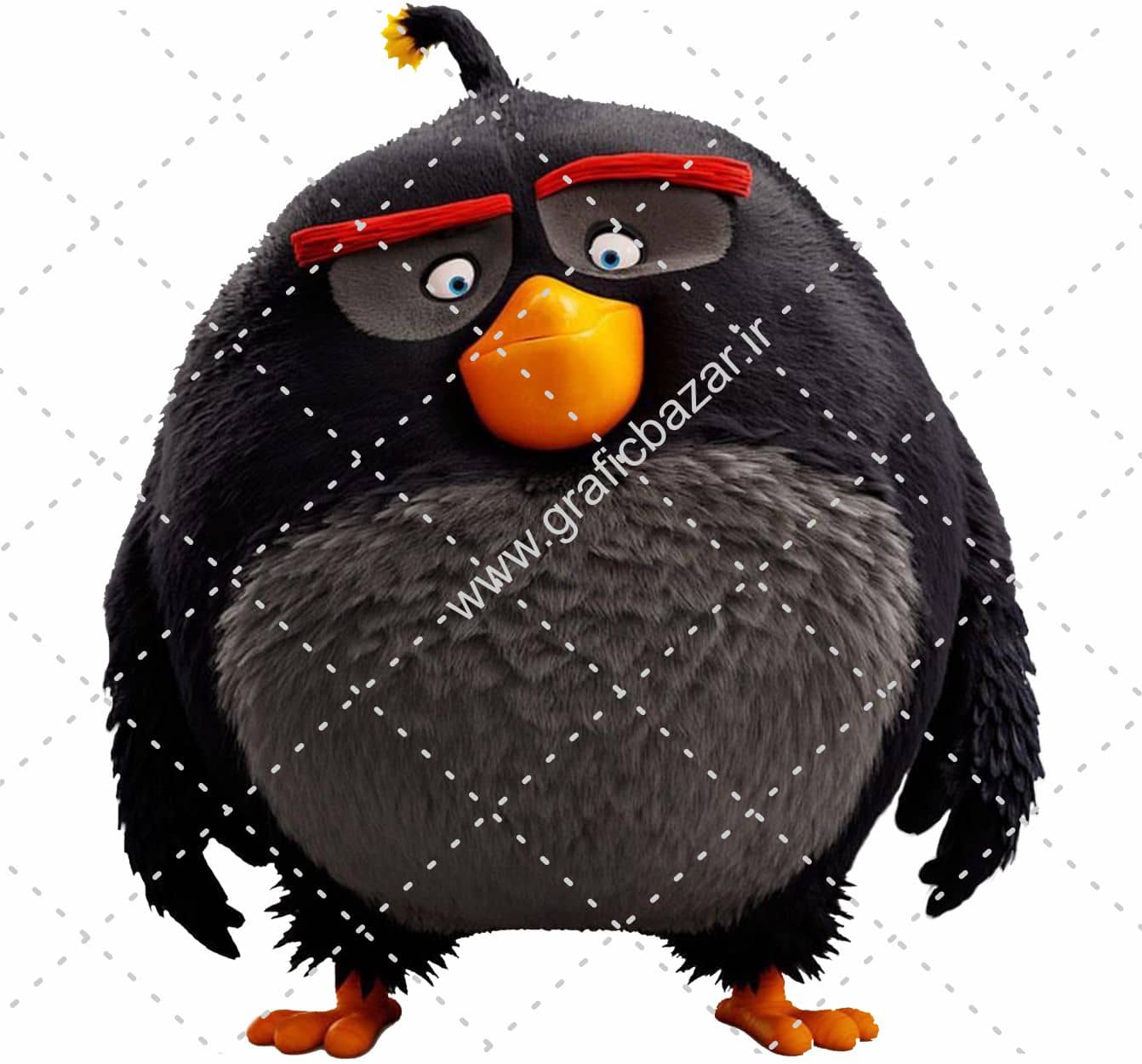 دانلود عکس دوربری پرنده خشمگین - گرافیک بازار